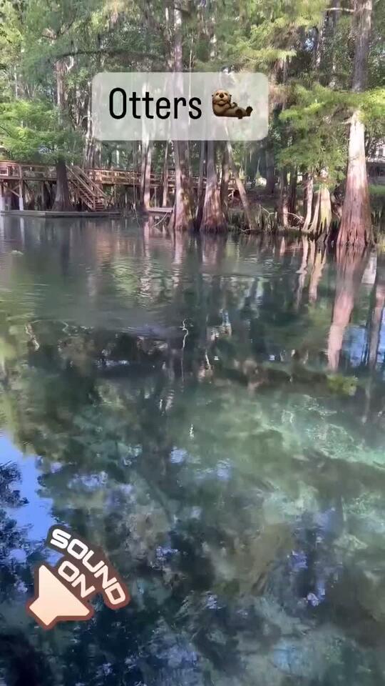 Repost Credit belongs to shane fowler with get repost If you like ...