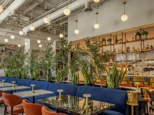 The Jackson Restaurant Opens At Village of Rochester Hills