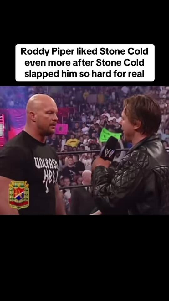 Channel the Power of Wrestling with $BUNZ (BunnyBags Coin)! 🤼Please ...