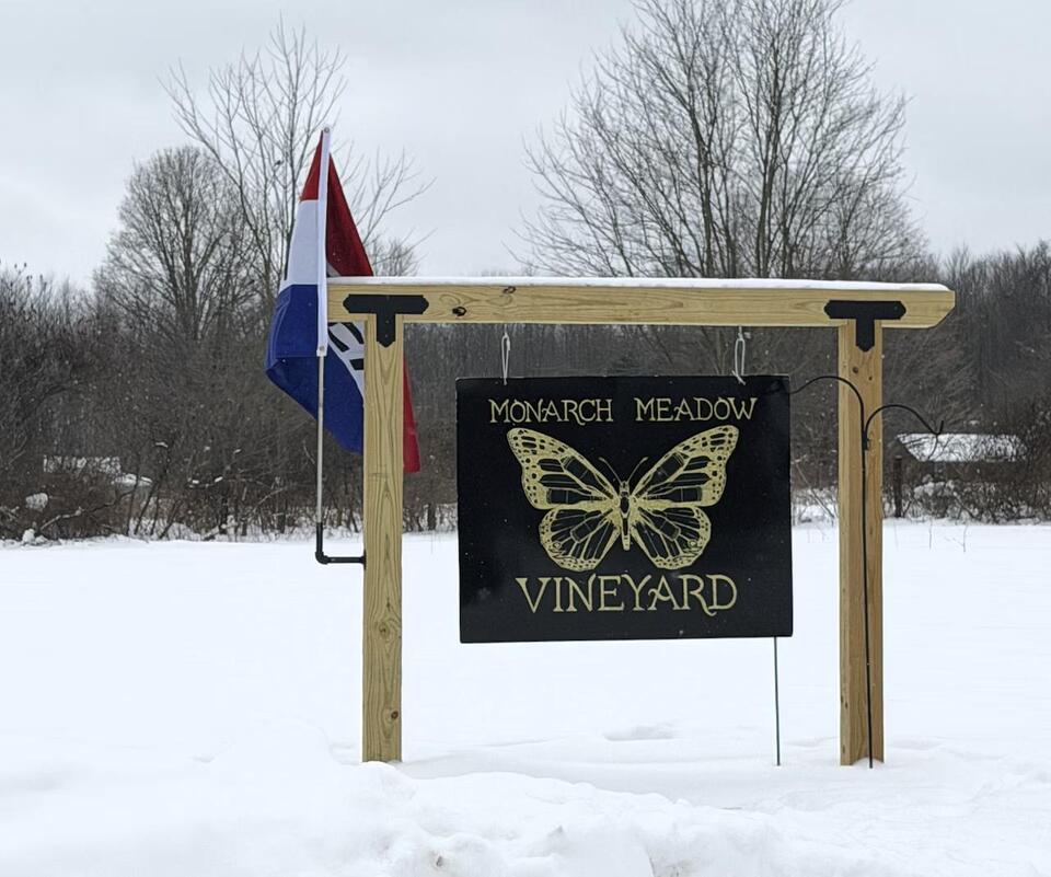 Monarch Meadow Vineyard winery opens in Geneva (photos) - NewsBreak