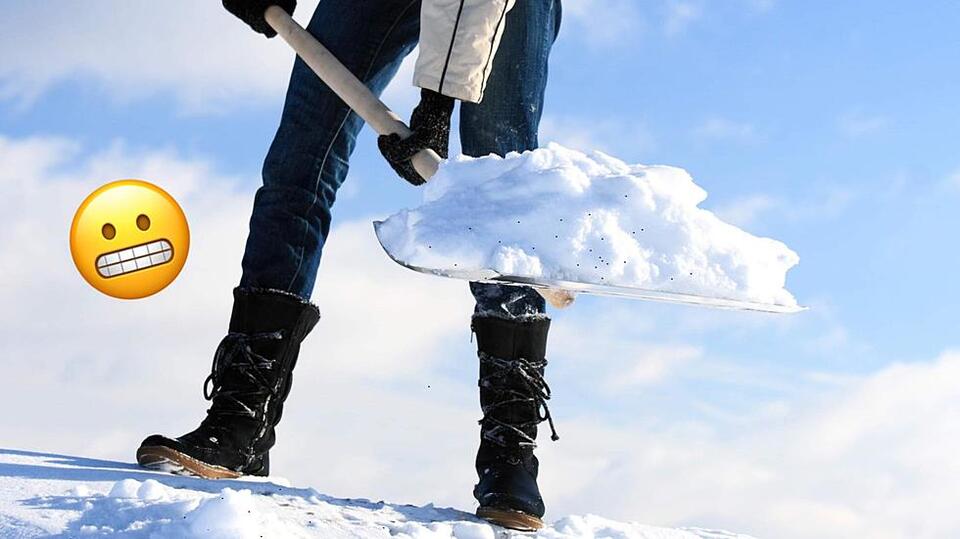 Yes… Snow Fleas Are Real And In Illinois This Year - NewsBreak