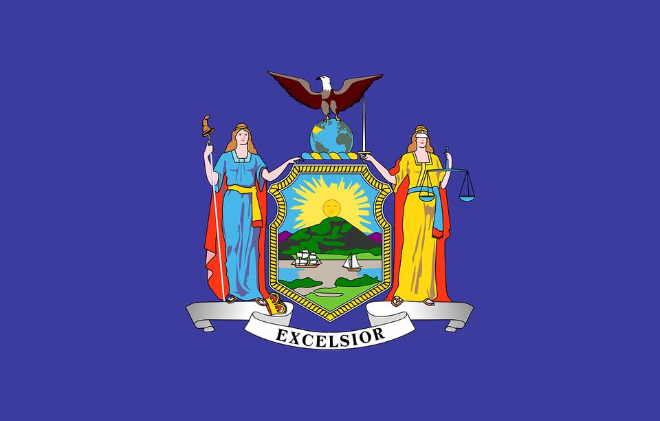 Eight Democrats compete in New York's 13th District primary as ...
