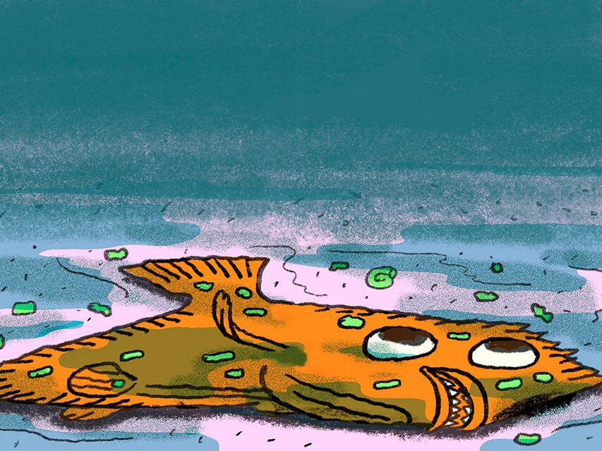 How flounder wound up with an epic side-eye