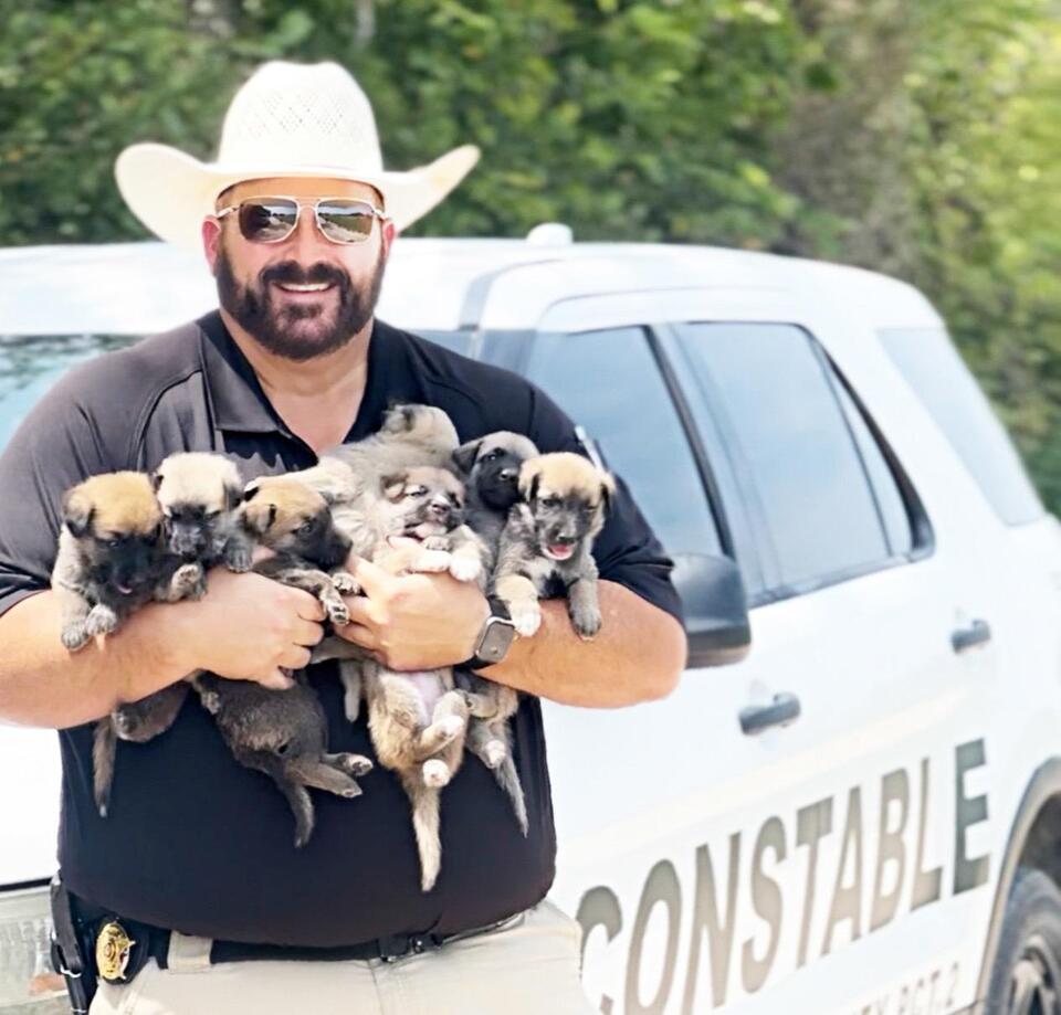 Paw Patrol: Rescue by Constable Carter - NewsBreak