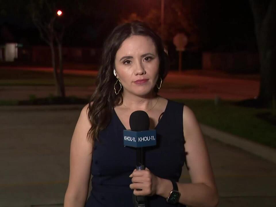 Muna Pandey killed execution-style after being forced inside apartment ...