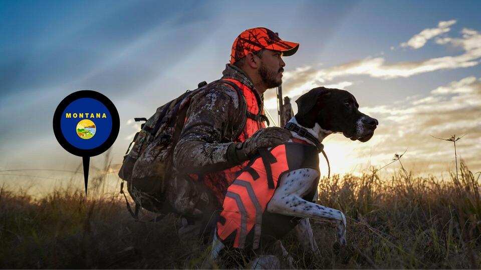 Montana FWP Now Selling Preference And Bonus Points For 2026 Hunt ...