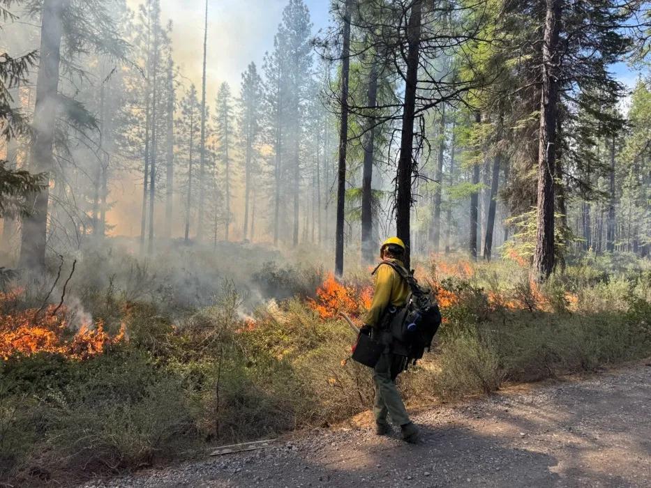 Deschutes National Forest conduct three-acre burn west of Sunriver for ...