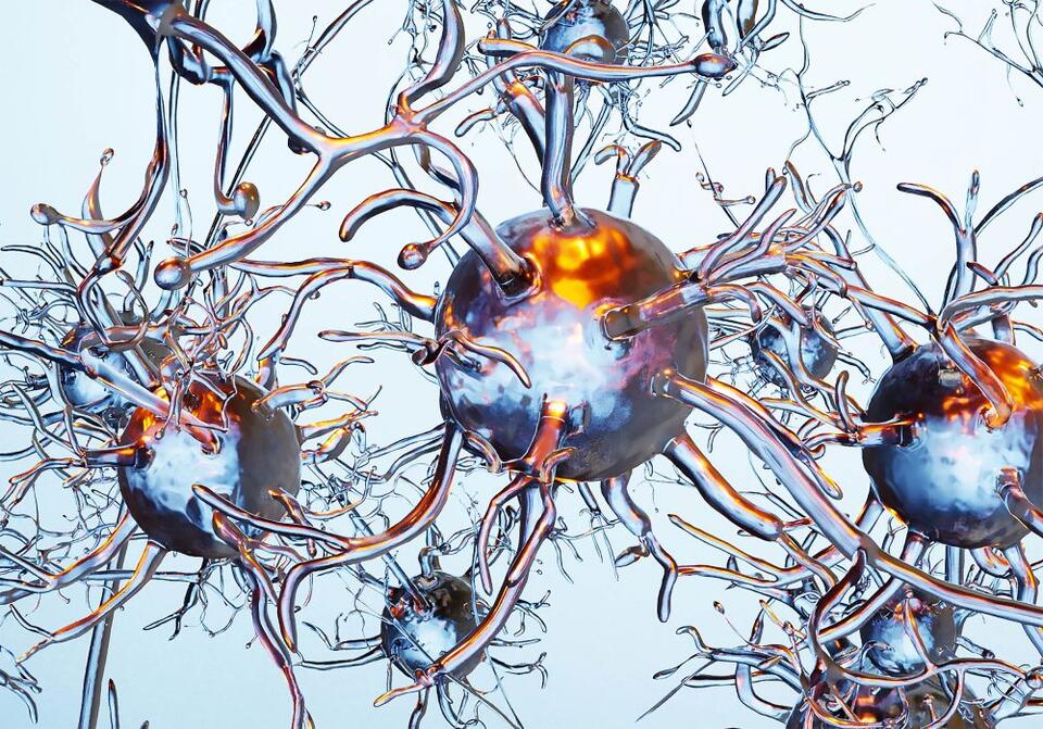 Scientists learn that memories are stored in other parts of the body ...