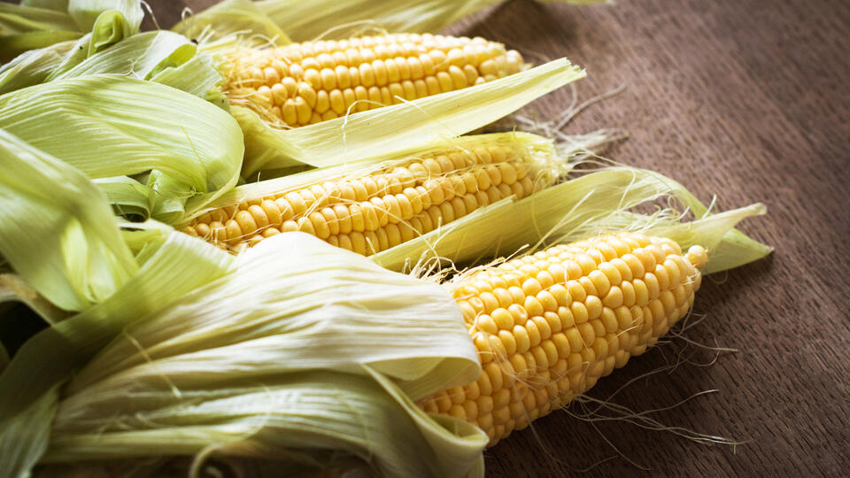 Give Corn On The Cob A Bold Boost With This Spicy Seasoning - NewsBreak