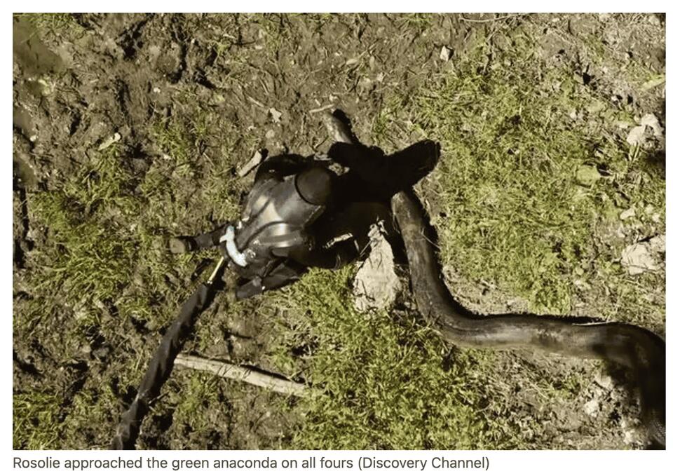 Man Recalls How It felt When He Tried To Get Eaten Alive By An Anaconda ...