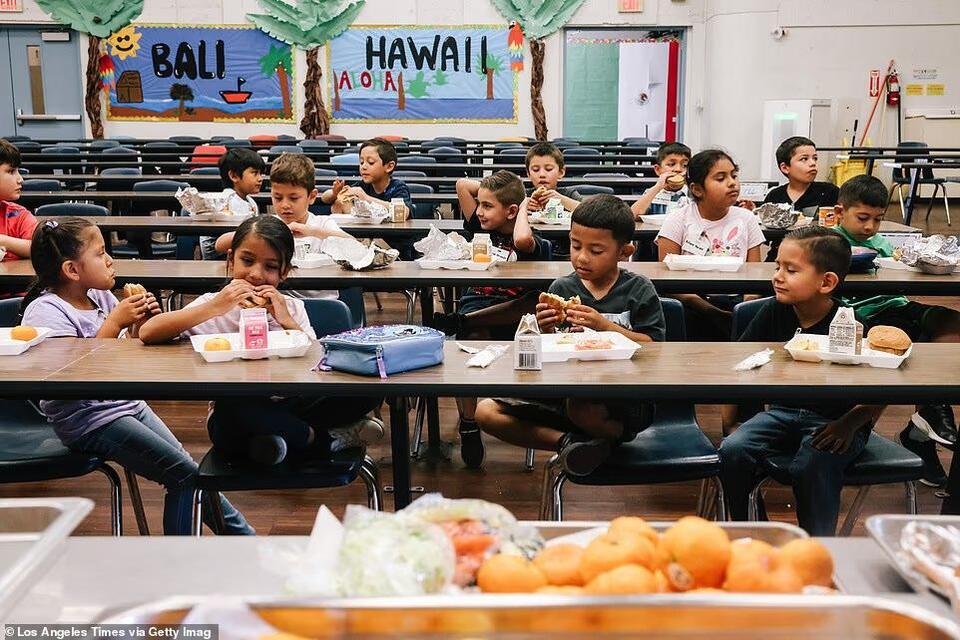 Newsom bans ultra-processed foods from school lunches - NewsBreak