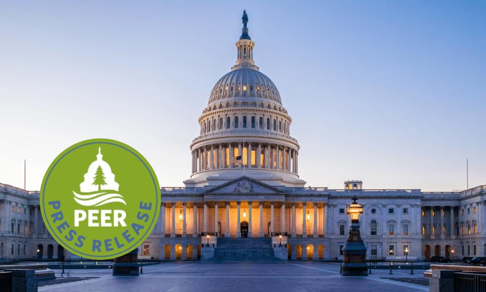 Trump’s Federal Employee Buyout Offer is an Illusion - NewsBreak