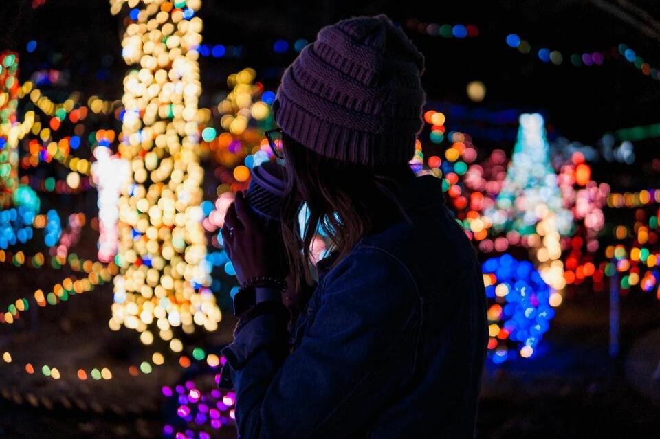 Where to See the Most Magical Holiday Lights in Northern Colorado ...