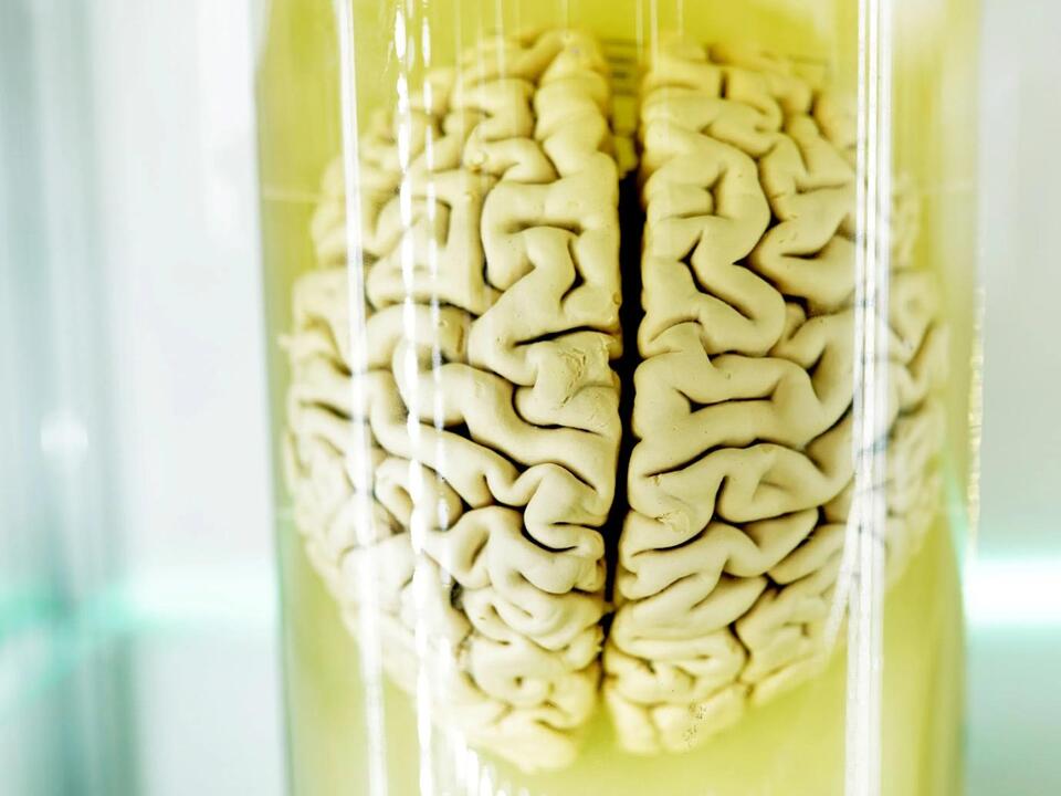 The key problem with the “brain in a vat” thought experiment