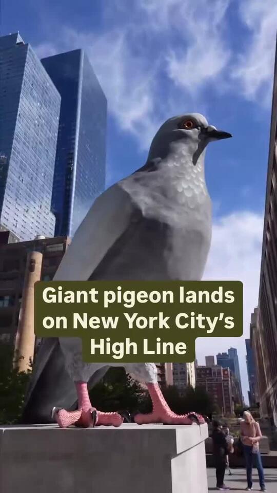 A giant pigeon in NYC Peck Yes The High Lines newest and coolest art ...