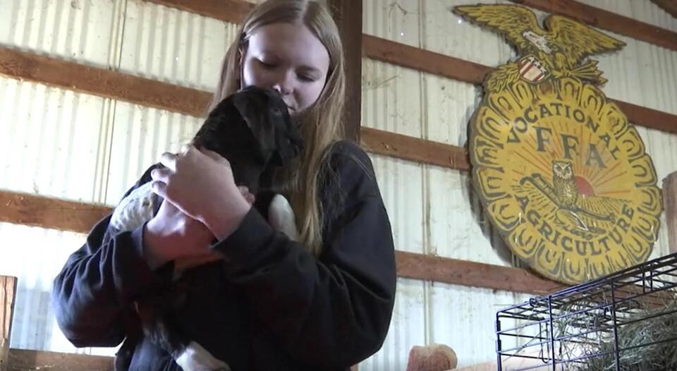 Phoenix Talent School District welcomes new baby goat, more to come ...