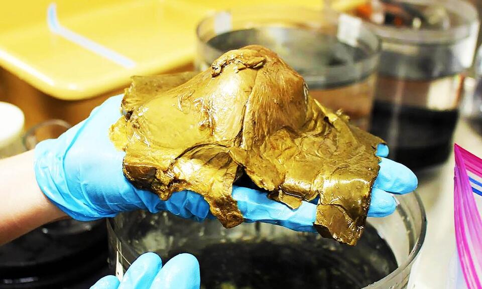 NOAA finds a ‘golden orb’ of unknown origin on a deep ocean expedition ...
