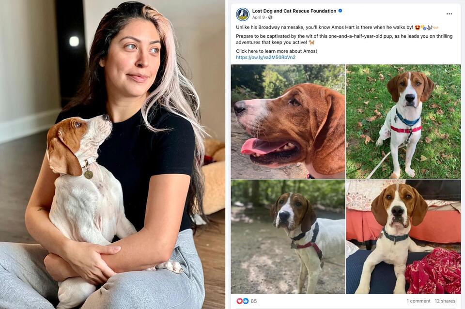 Woman who paid for sick dog to be put down shocked to find now-healthy ...