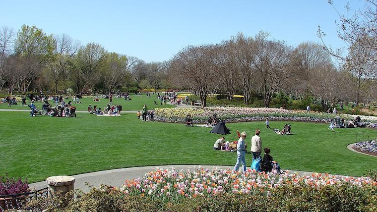 North Texas Awaits Burst of Spring Colors at Dallas Arboretum's Annual ...