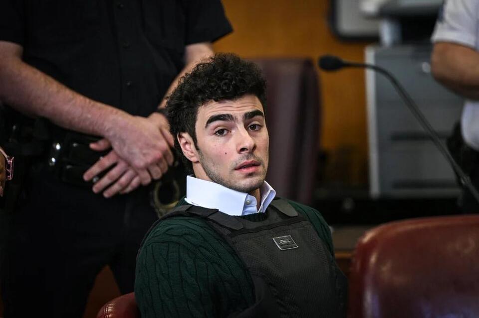 Luigi Mangione's alleged diary entries released in new court filing ...