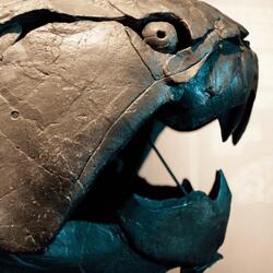 360 Million Years Ago, Cleveland Was Home To A Giant Predatory Fish ...