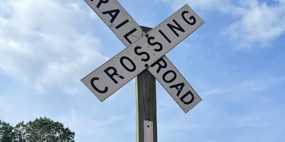 Railroad crossings shut down due to fallen tree on tracks in Union ...