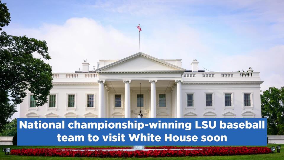 LSU Tigers release fall beach volleyball tournament schedule - NewsBreak