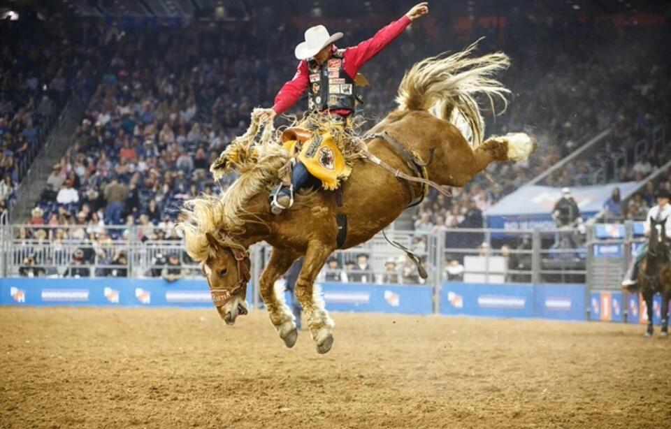 Championship Pro Rodeo Returning to Jonesboro, 2,000 Pound Bull to Make ...