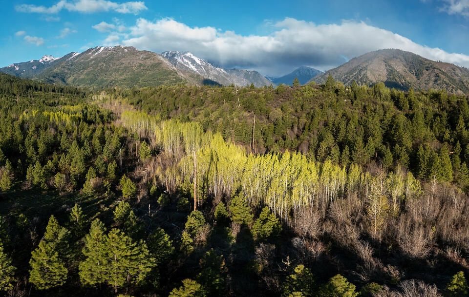 Smoke, trail closures expected during planned burn at Mountain Home ...