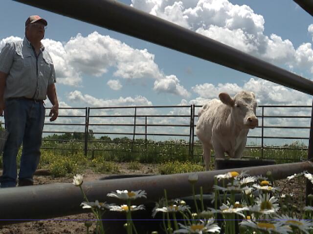 Ionia farmer speaks on mental health stigma in the agricultural community