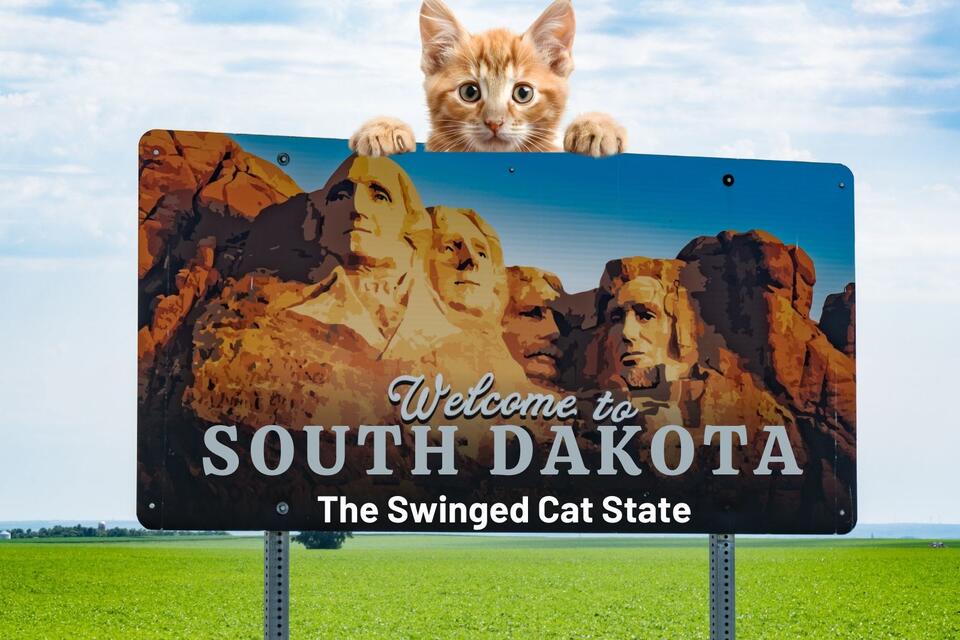The Swinged Cat State: South Dakota’s Forgotten Nickname - NewsBreak