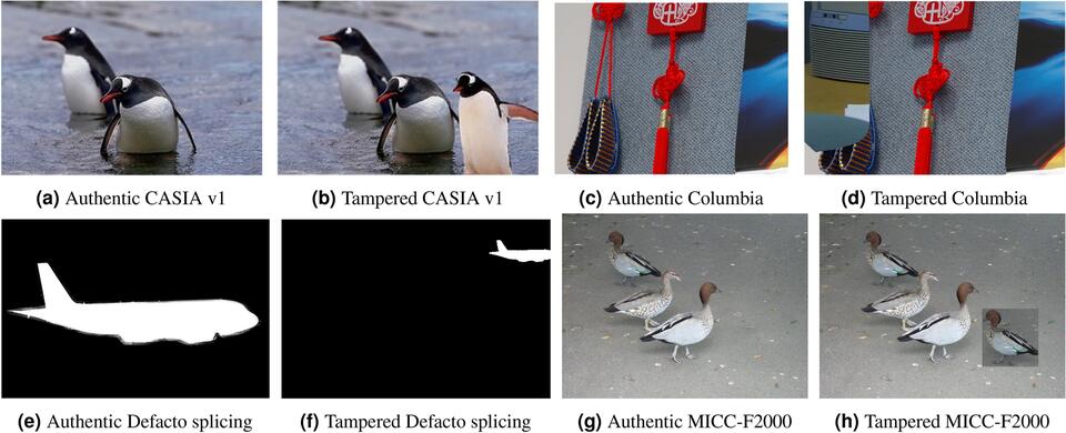 Multi-resolution transfer learning for tampered image classification ...