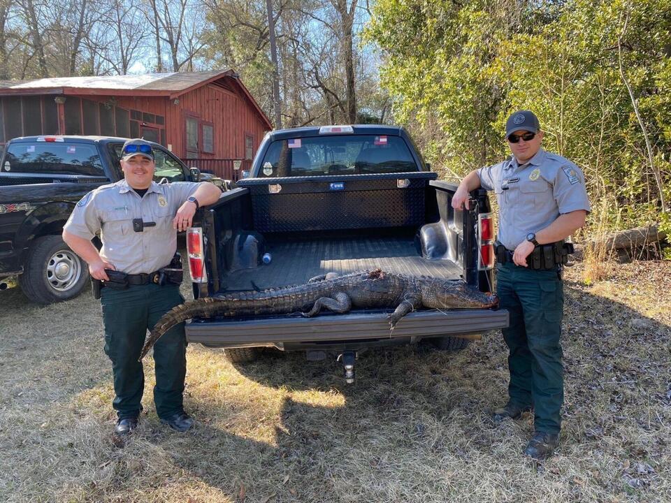 Fiction and facts about the powers of state Game Wardens - NewsBreak