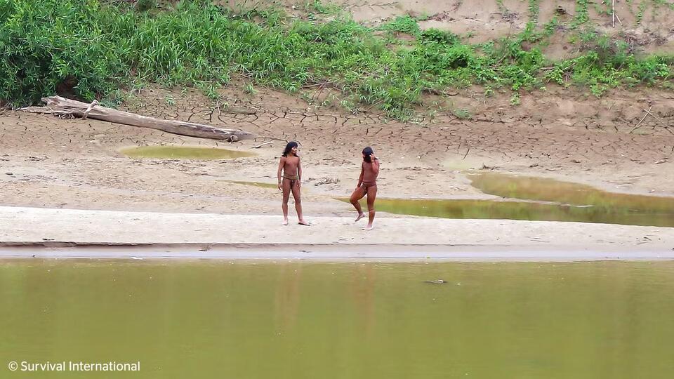 Worlds most isolated tribe kill loggers encroaching on their land deep ...