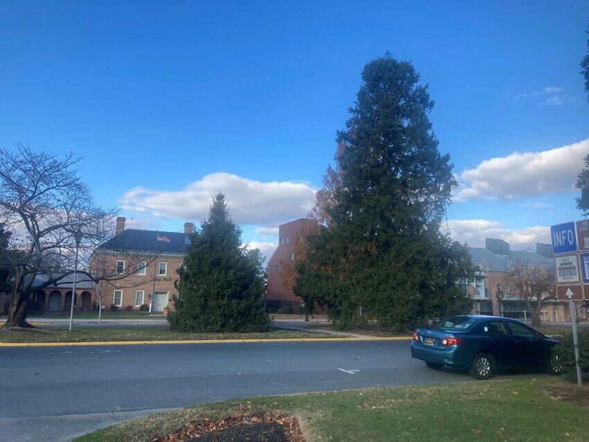 Holiday spirit to amp up at Dover tree lighting Thursday - NewsBreak