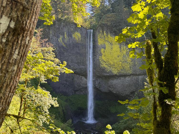 Hike of the month: Latourell Falls Loop