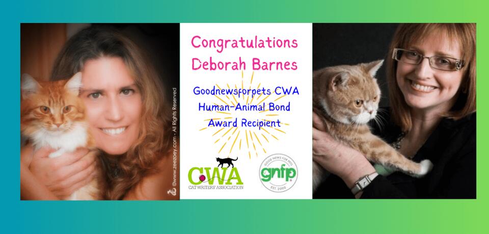 Deborah Barnes Honored, 2025 AKC Top Dog Names, and Getting Ready for ...