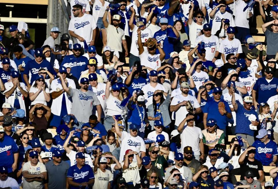 Was Shannon Kobylarczyk fired from Make-A-Wish? Viral claim explored as ...