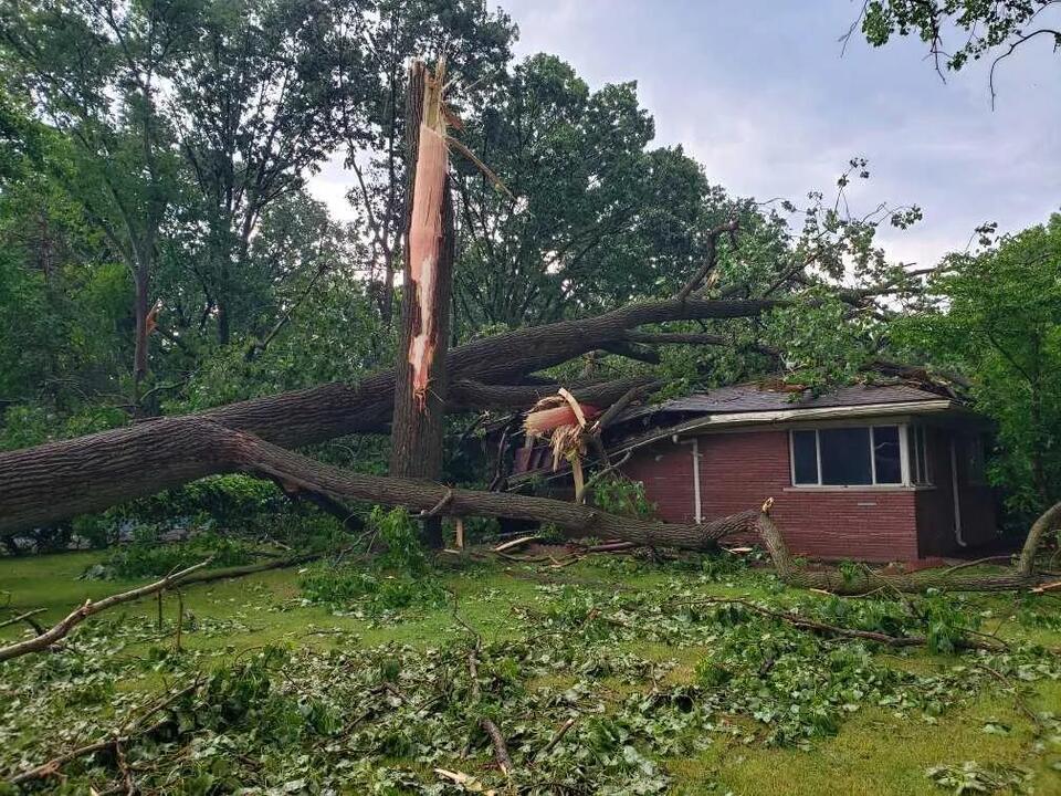 State of Emergency declared in Beverly Hills after strong storms bring down trees, power lines ...