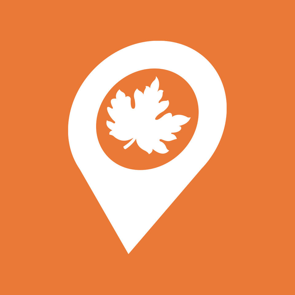 Three Athletes Win Division Gold Medals for Clarion County Special ...