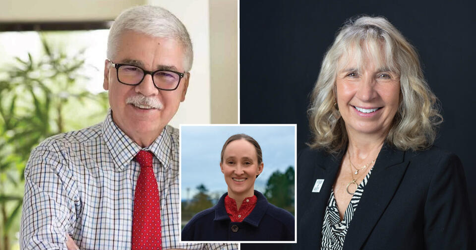 Seattle City Light leadership shakeup: Dennis McLerran named new CEO ...