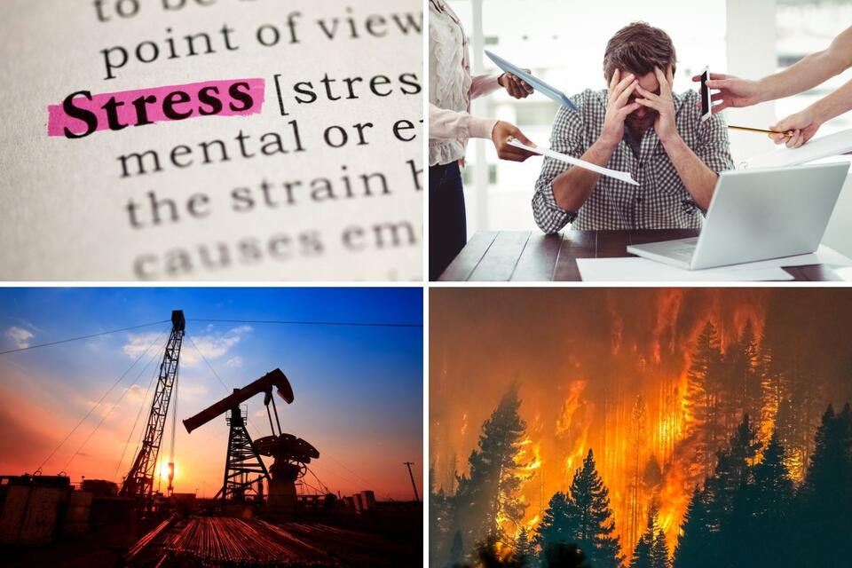 Montana's Most Stressful Job Revealed. Agree Or Disagree? - NewsBreak