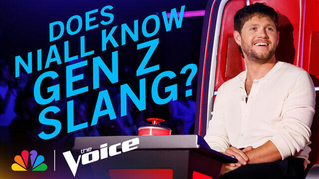 Niall Horan Was So Cheeky with Simon Cowell in His First X Factor ...