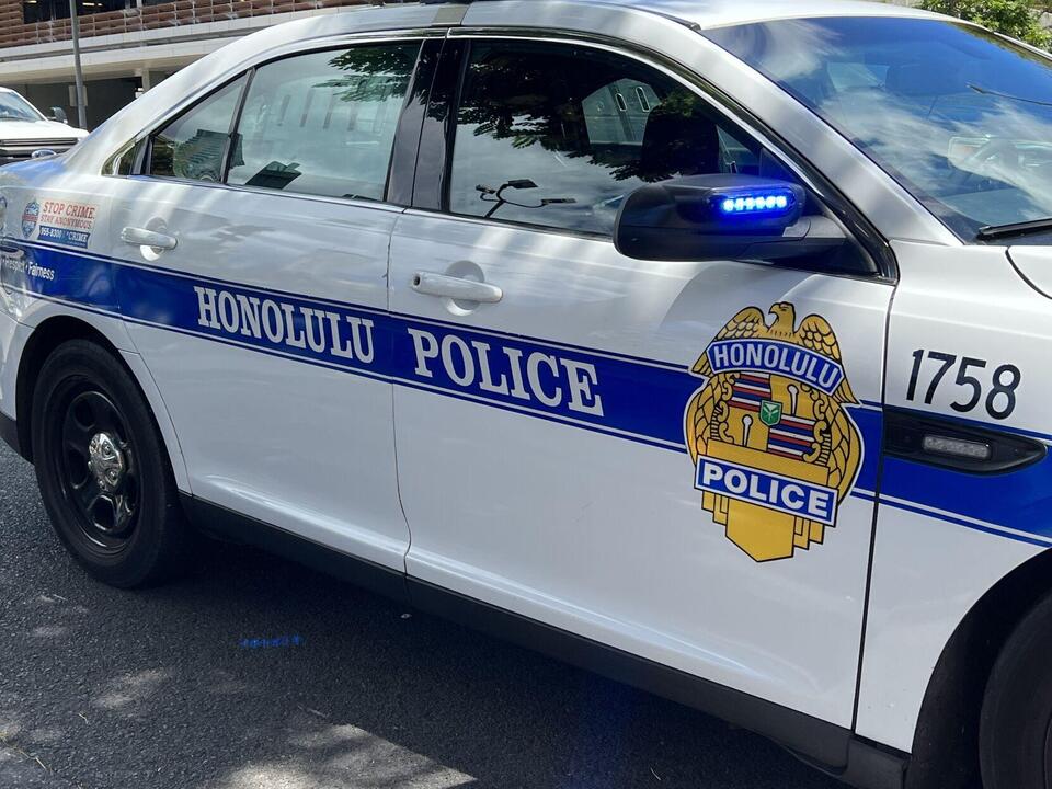 Man arrested for knocking down police officer conducting traffic stop