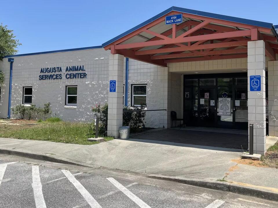 Ga. agency sends funds to CSRA to fight pet overpopulation