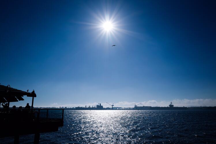 Another Sunny Week In Washington - NewsBreak