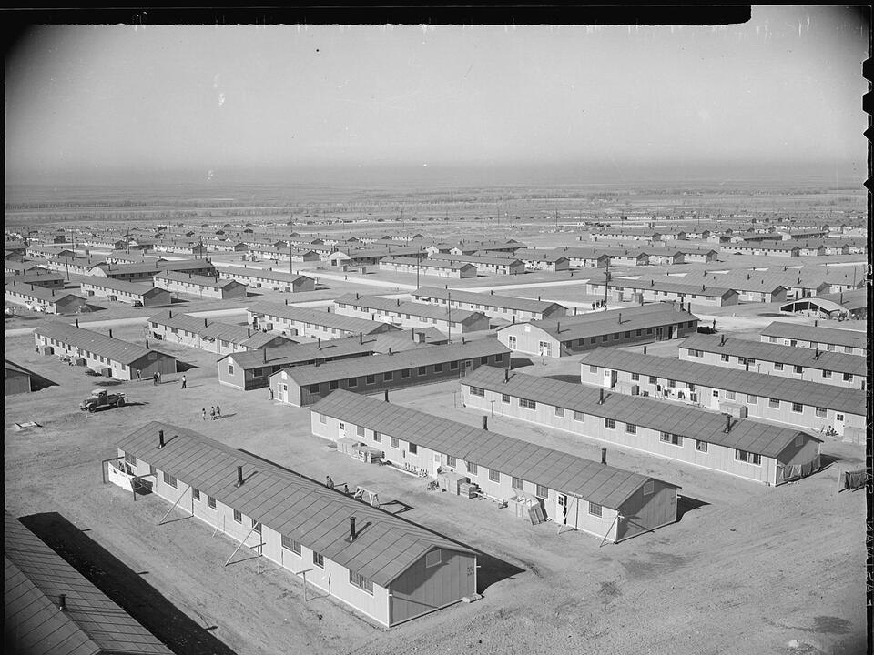 Amache Rose from Japanese American incarceration camp bloom at Denver ...