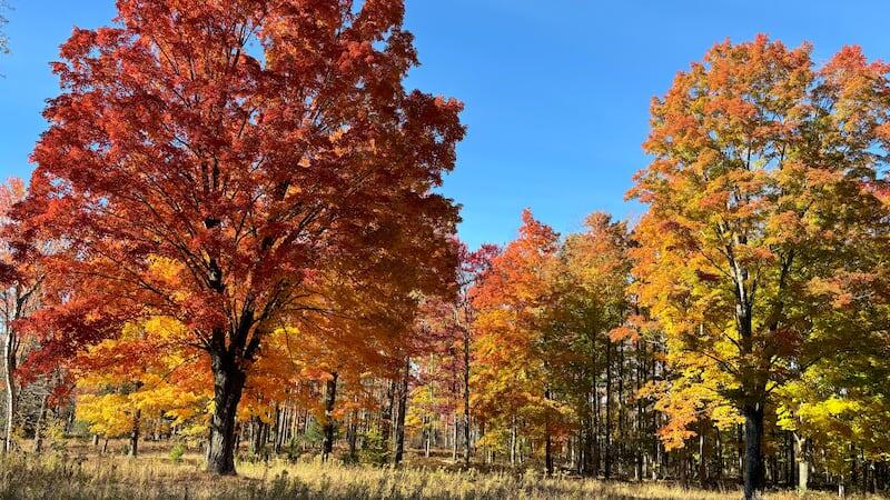 Northern Michigan fall events lineup offers seasonal fun for all ages ...