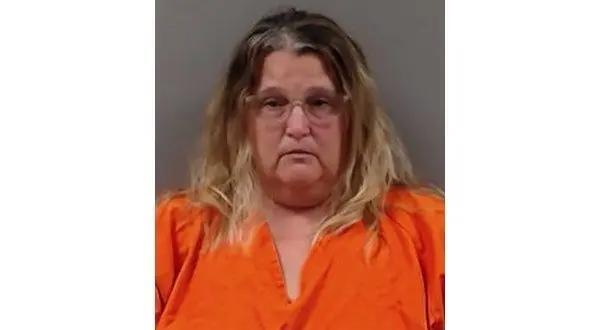 Former Bull Shoals Court Clerk arrested for theft of funds - NewsBreak