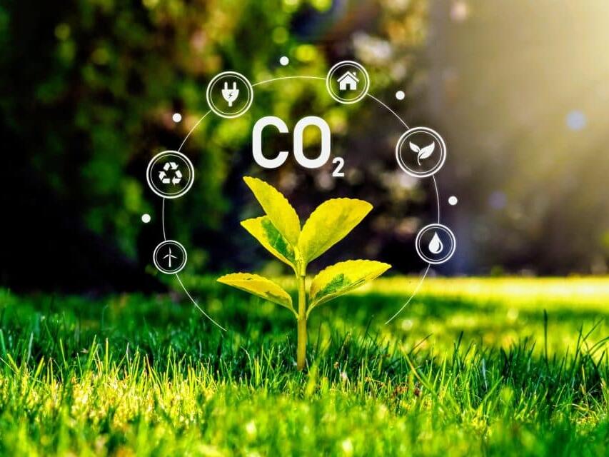 ‘Wonder material’ can extract value from captured carbon